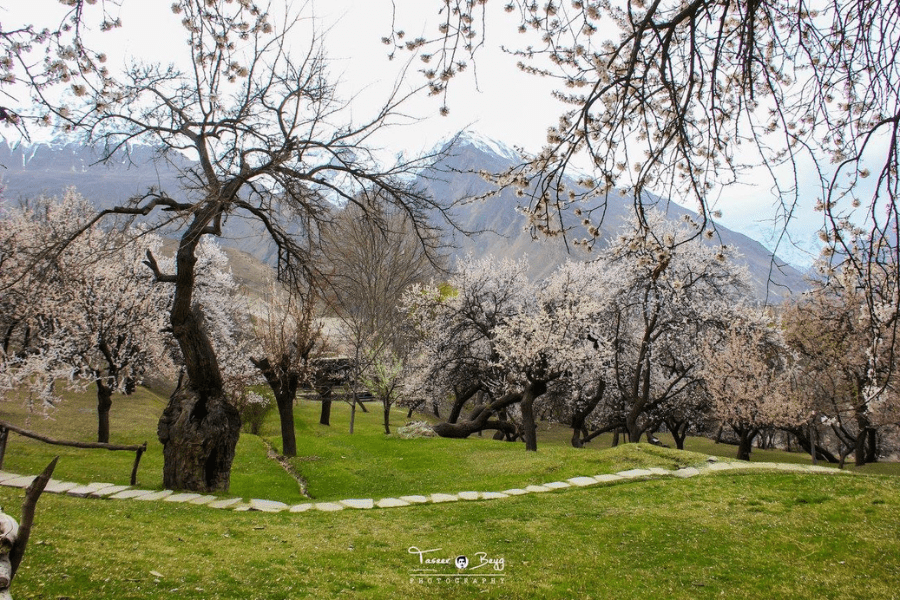 Why should you visit Hunza Valley? - Gypsy Traces and Tours