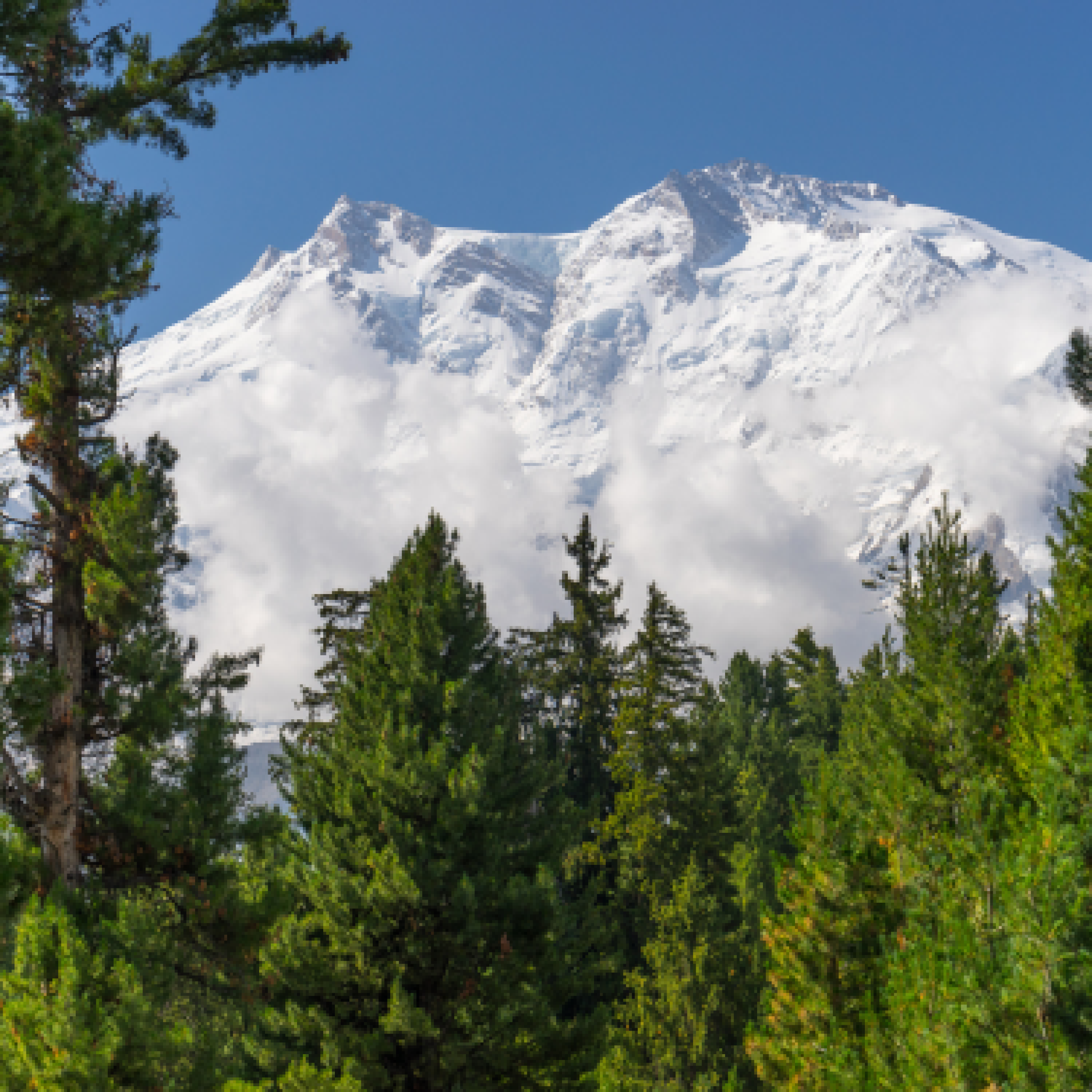 Fairy Meadows Tour- A Mesmerizing View Point of Nanga Parbat in 6 Days ...