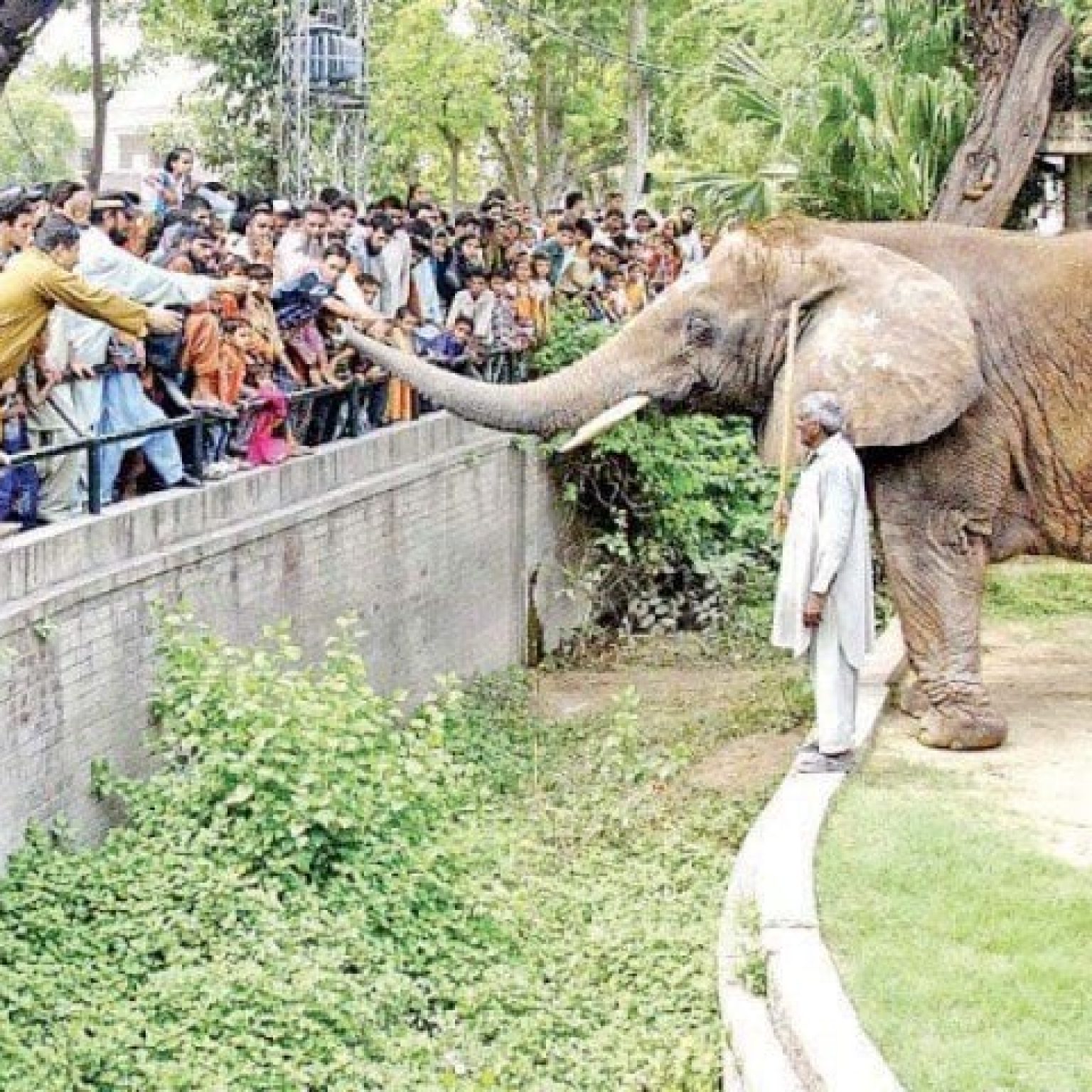 Lahore Zoo - Gypsy Traces and Tours