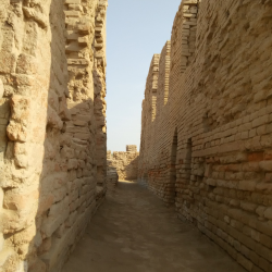 Indus Valley Civilization: A Glimpse into 1 of History's Most Advanced ...