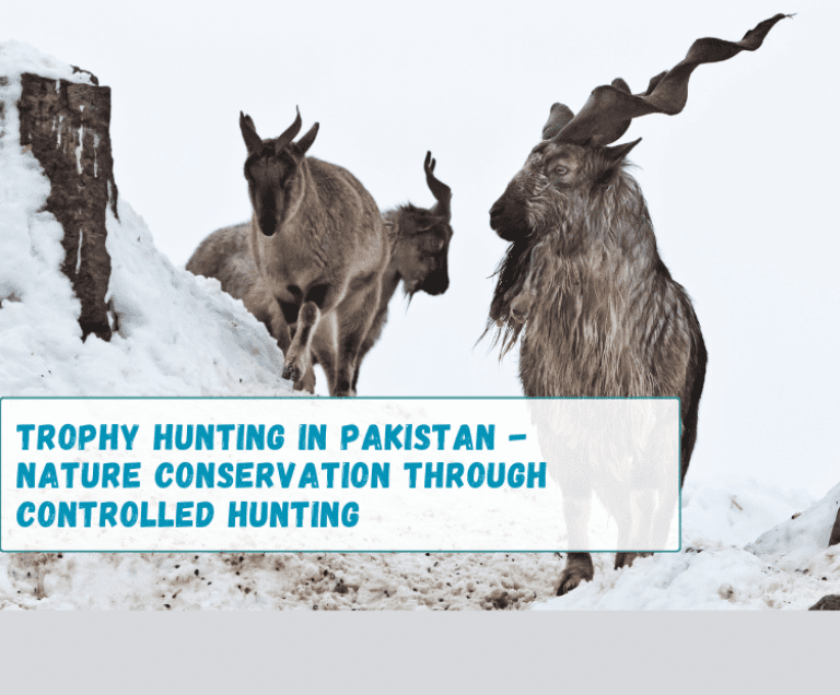 Trophy Hunting in Pakistan - Nature Conservation Through Controlled ...
