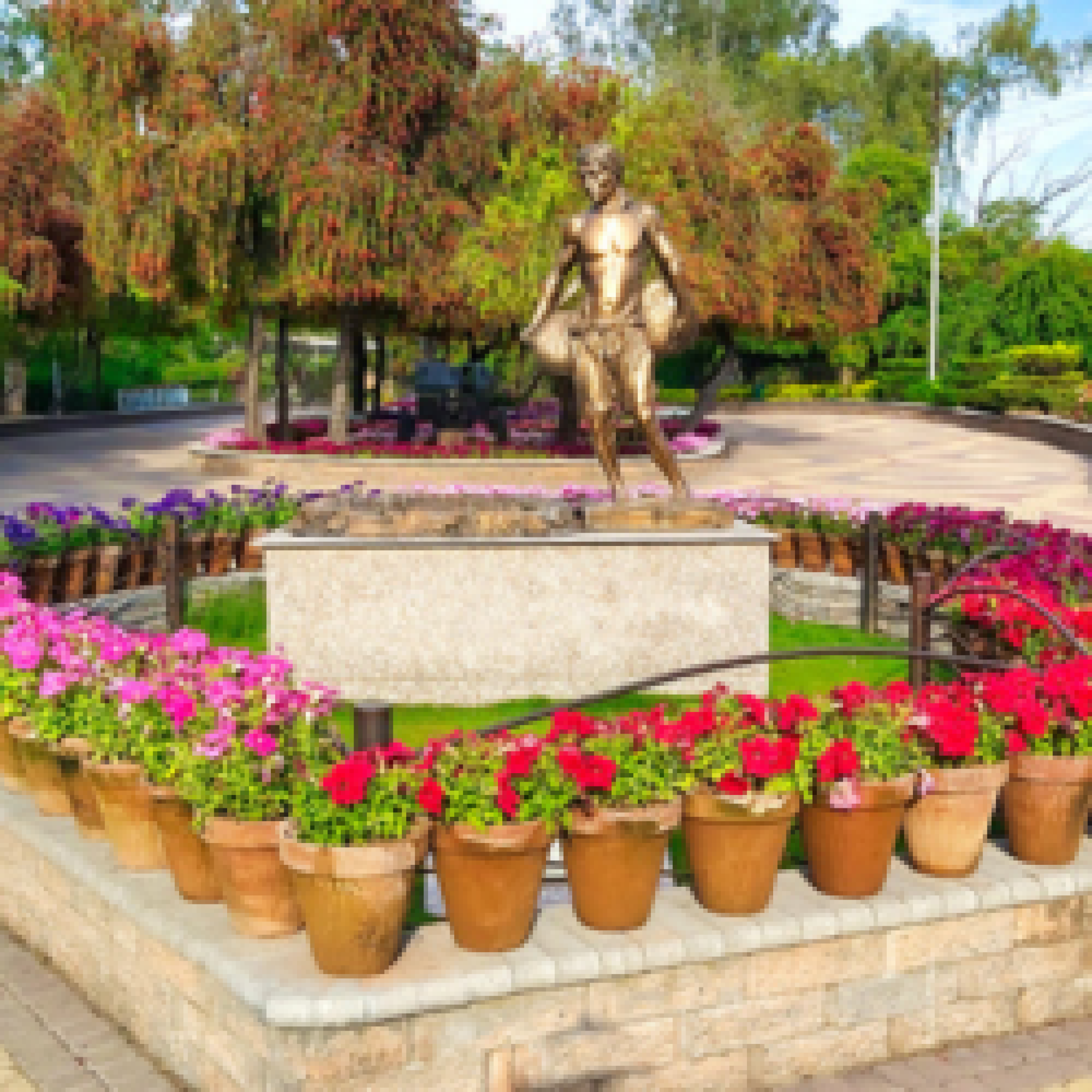 Ayub National Park: A Serene Escape in Rawalpindi's Heart - Gypsy ...