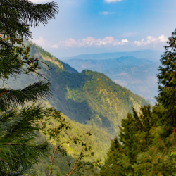 Ayubia National Park - Gypsy Traces and Tours