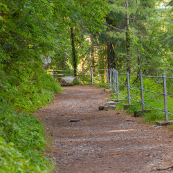 Ayubia National Park - Gypsy Traces and Tours