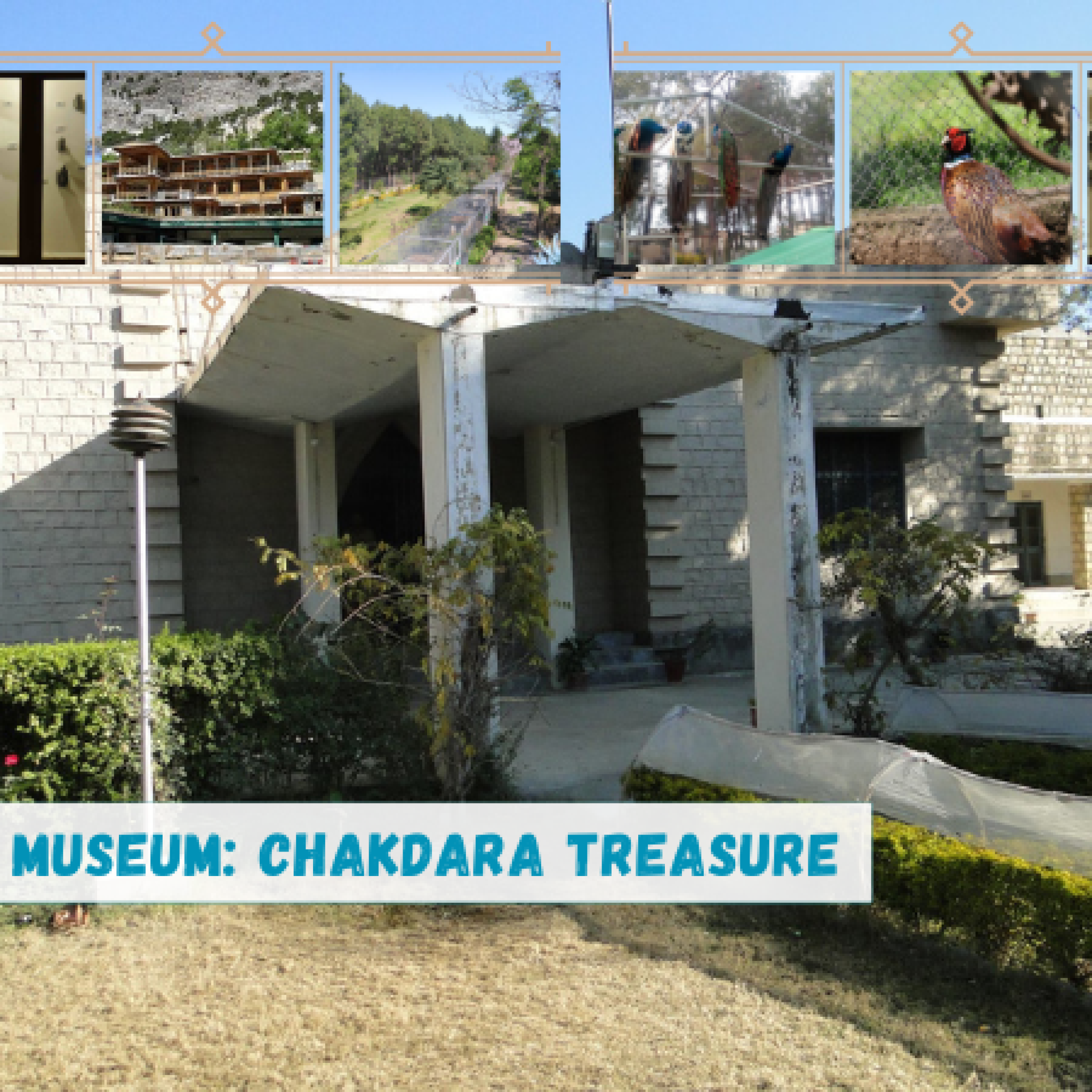 Cherry Blossom Season: A Symphony of Bloom in Pakistan - Gypsy Traces ...