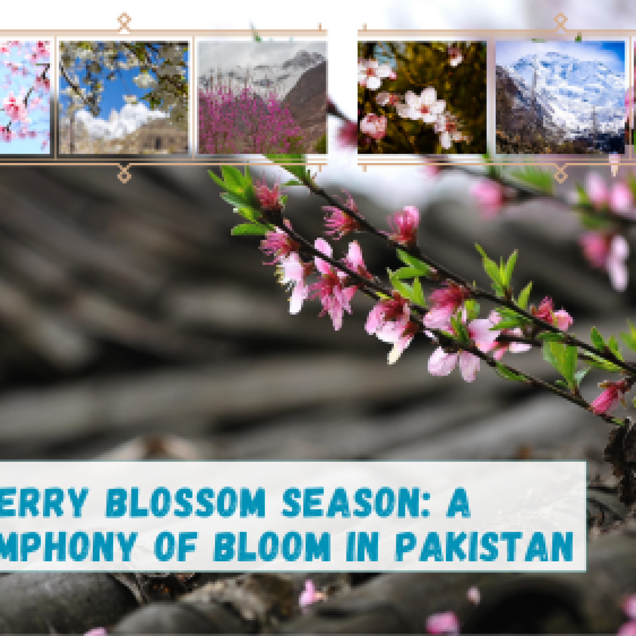 What to Do in Mirpur, Azad Kashmir?: Foreign Tourist Tryst with the ...