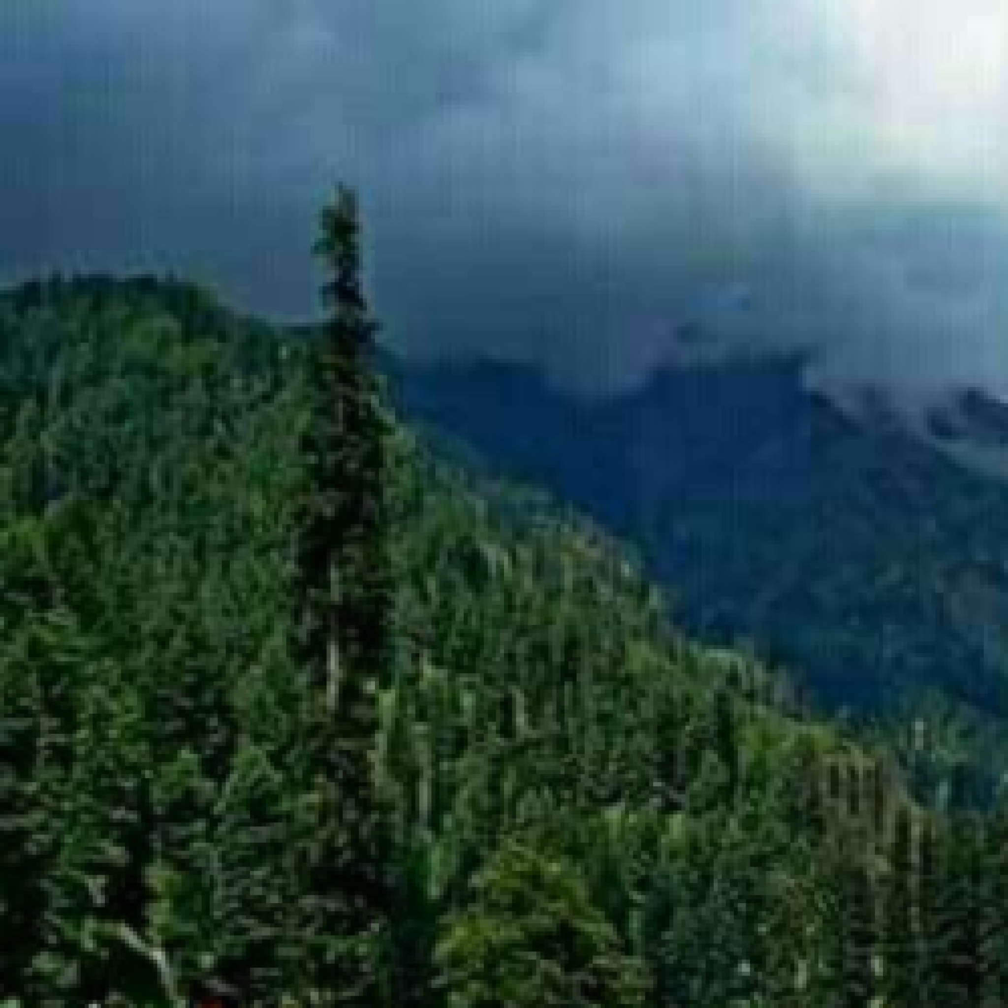 Battagram: Just 75 Km from Mansehra City - Gypsy Traces and Tours