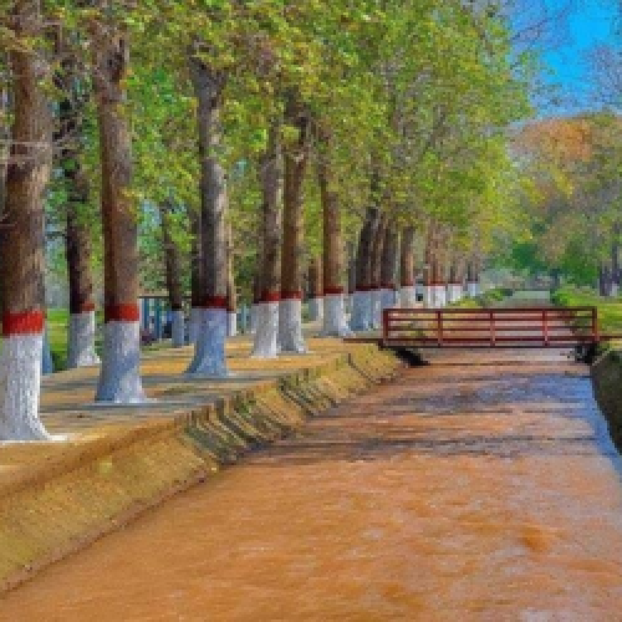 Changa Manga Forest Park: 1 Enjoyable Day Out of Lahore - Gypsy Traces ...