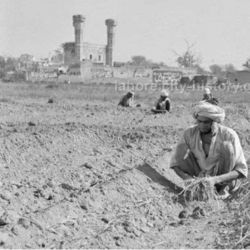 Chauburji: A Glimpse into Mughal Splendor - Gypsy Traces and Tours