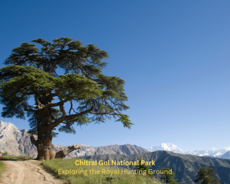 Chitral Gol National Park: Explore the Scenic Royal Hunting Ground in ...