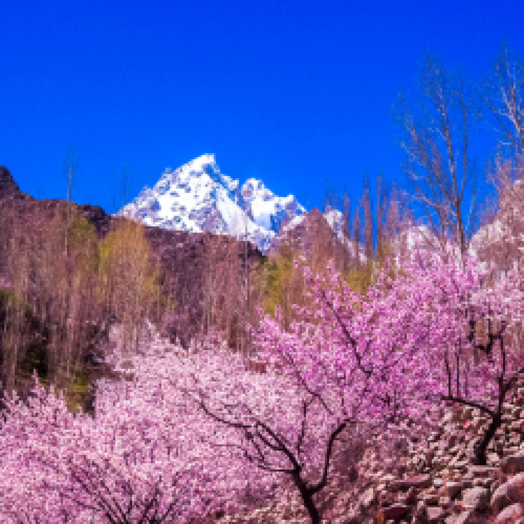 Incredible Hunza Valley: Why should you visit in 2025? - Gypsy Traces ...