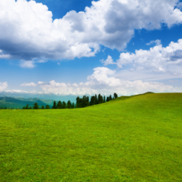 What to Do in Muzaffarabad?: Tourist's Journey through 6 Scenic Marvels ...