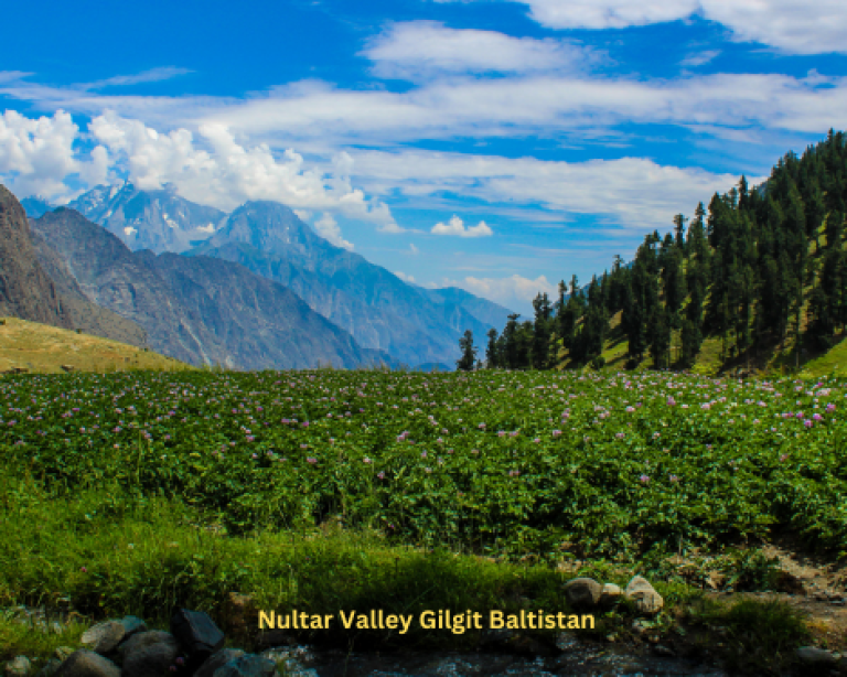 Bashkiri Lakes, Naltar: Just 40km from Gilgit - Gypsy Traces and Tours