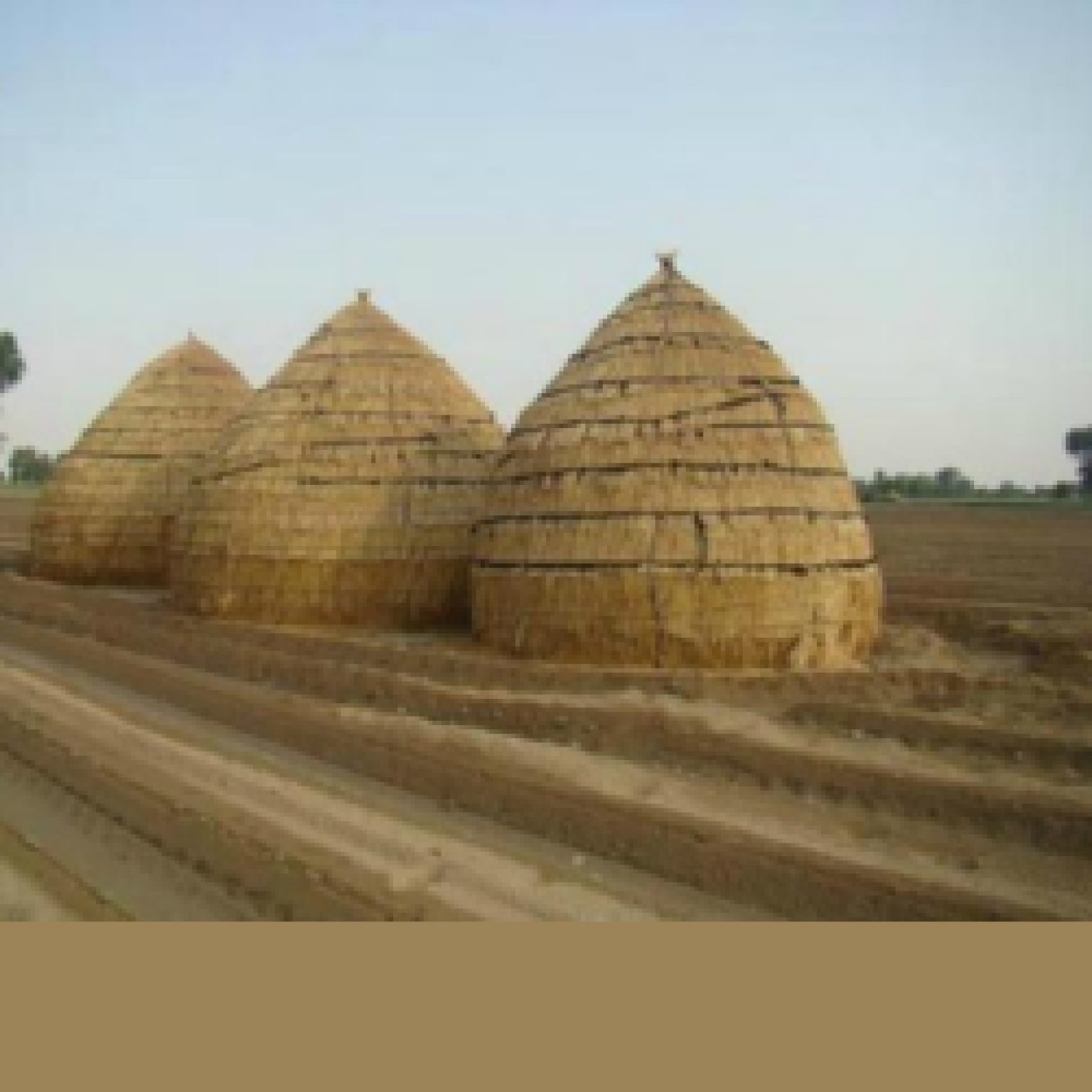 What to do in Rahimyar Khan ?: 10 Stunning Attractions for Foreign Tourists - Gypsy Traces and Tours