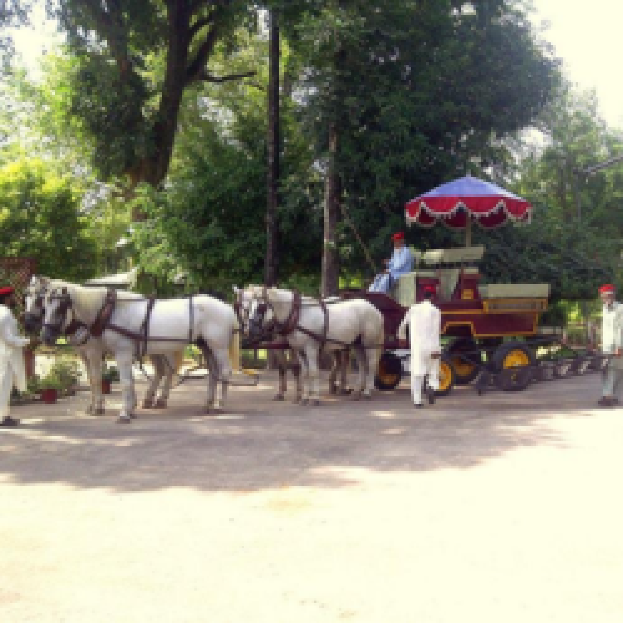 What to Do in Sargodha?: 9 Tourist Attractions in the Orange land ...
