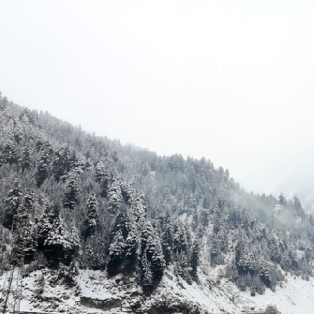 Christmas Tour Balakot Hazara: 3 Days Super Celebrations - Gypsy Traces ...