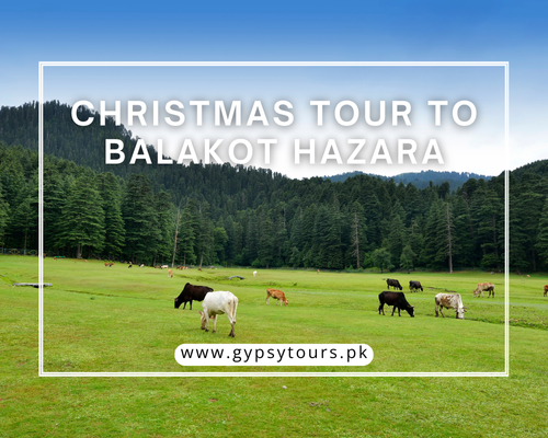 Christmas Tour Balakot Hazara: 3 Days Super Celebrations - Gypsy Traces ...
