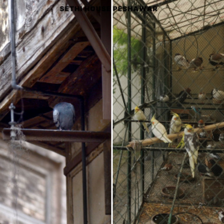 Sethi House Peshawar – A Glimpse into Architectural Splendor - Gypsy ...